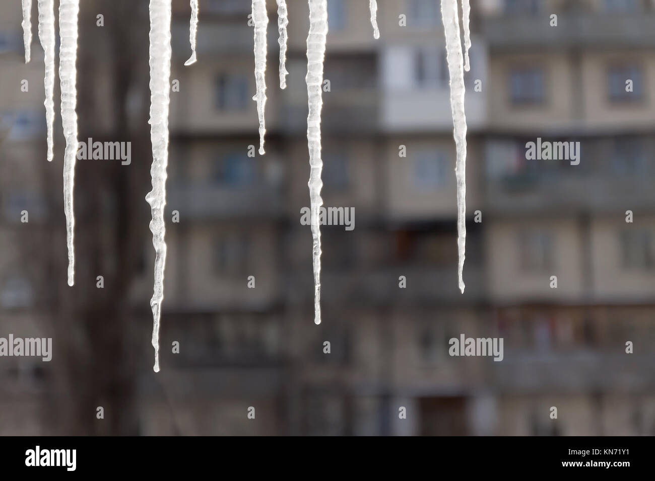 Dangerous icicles hang from the snowy roof of the house. Big icicles in ...