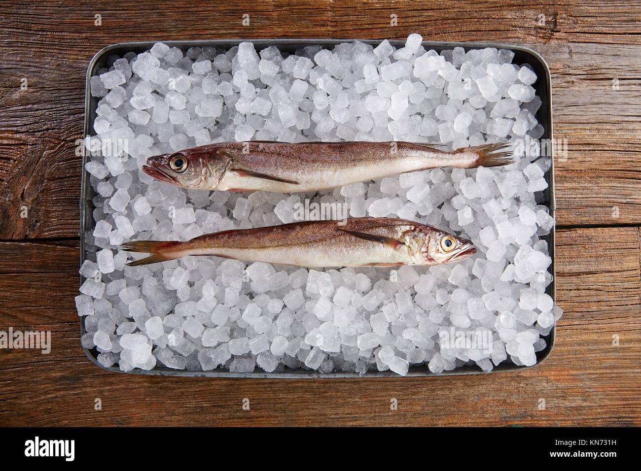 Hake fish on ice hi-res stock photography and images - Alamy