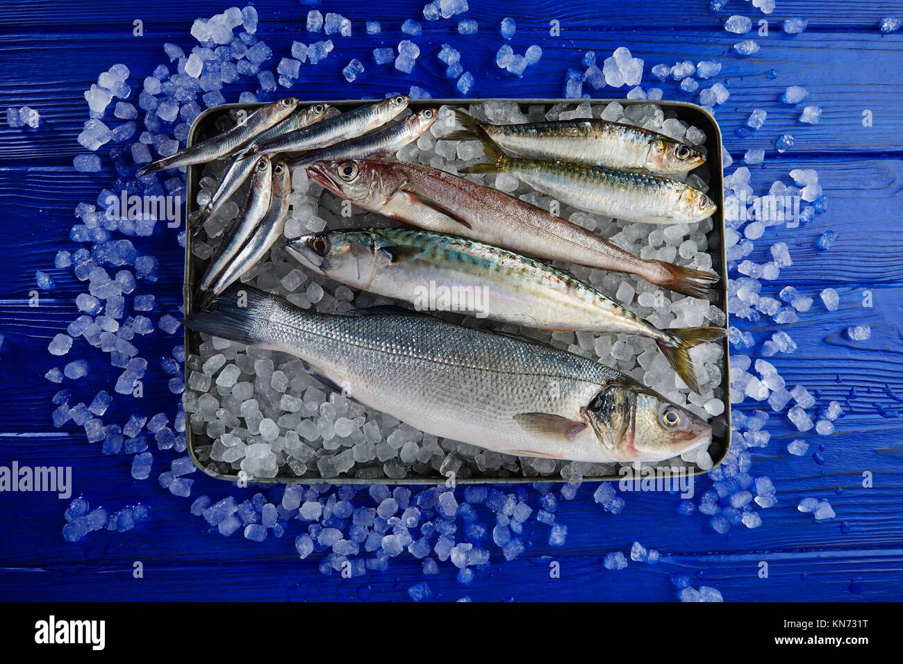 Tail hake hi-res stock photography and images - Alamy