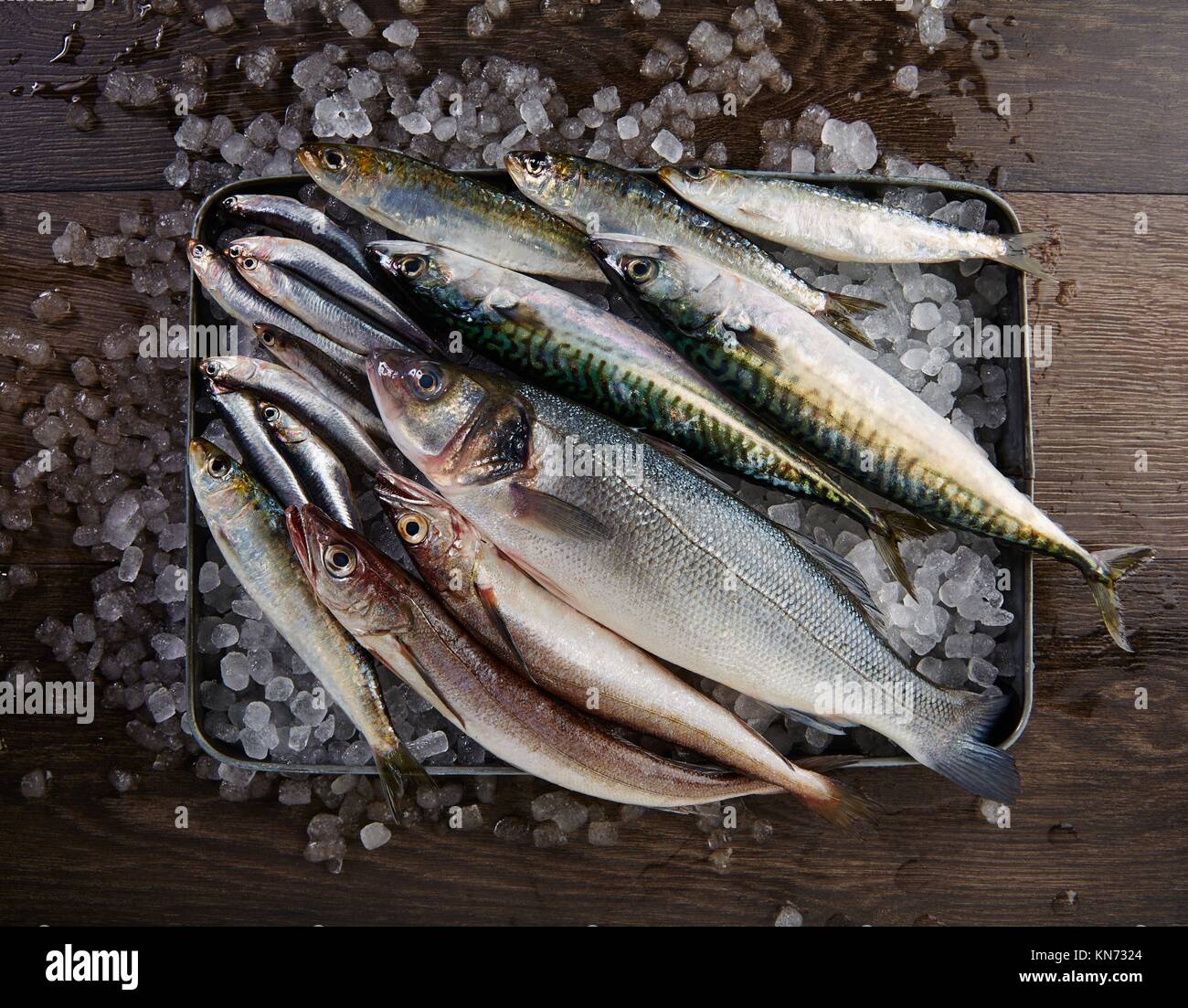 Tail hake hi-res stock photography and images - Alamy