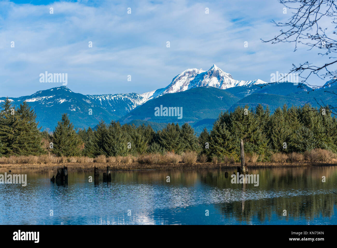Mount Garibaldi from and Squamish estuary, British Columbia, Canada ...