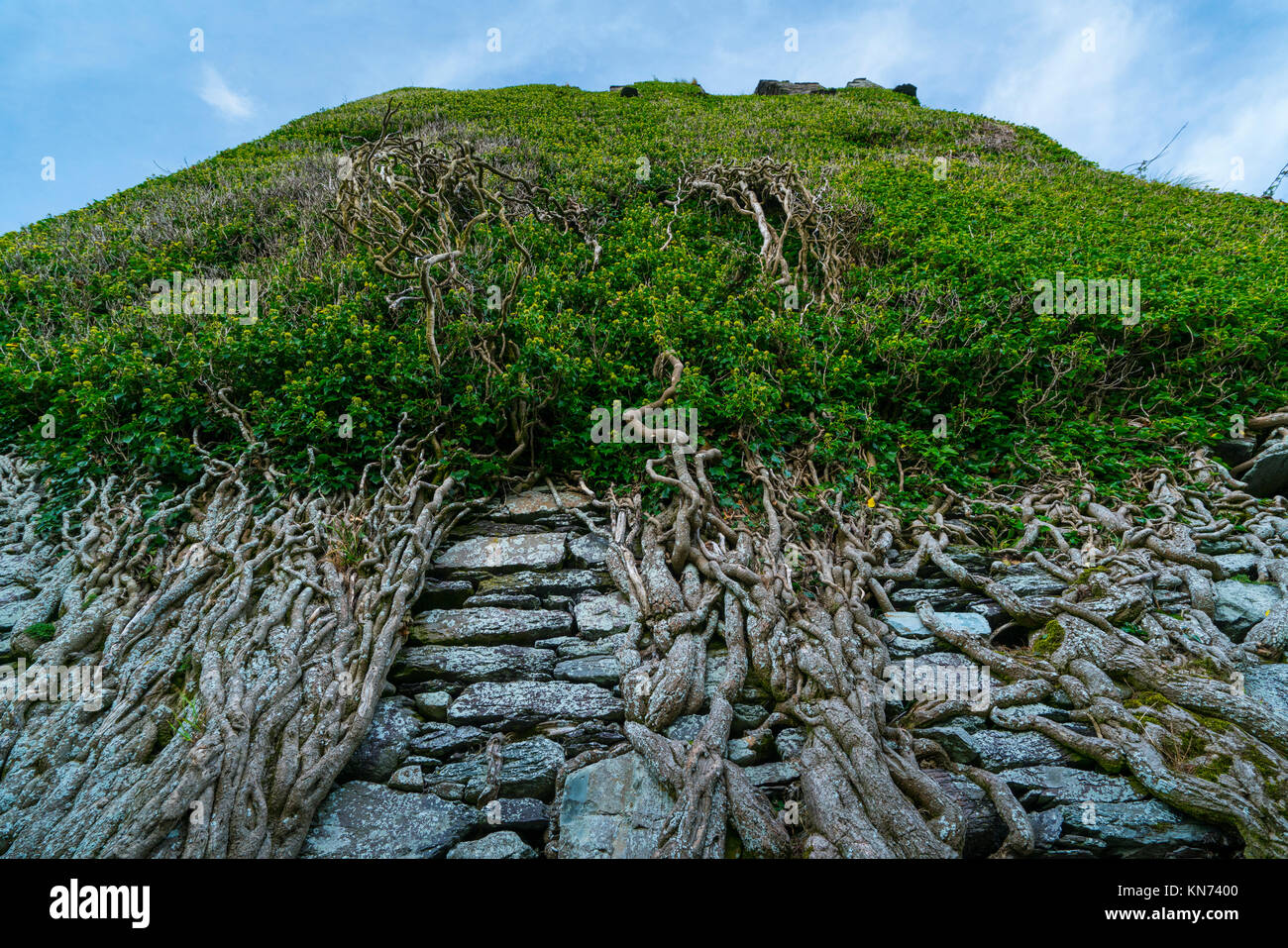 Ballycarbery Castle, Caherciveen, Ring of Kerry, County Kerry, Ireland ...
