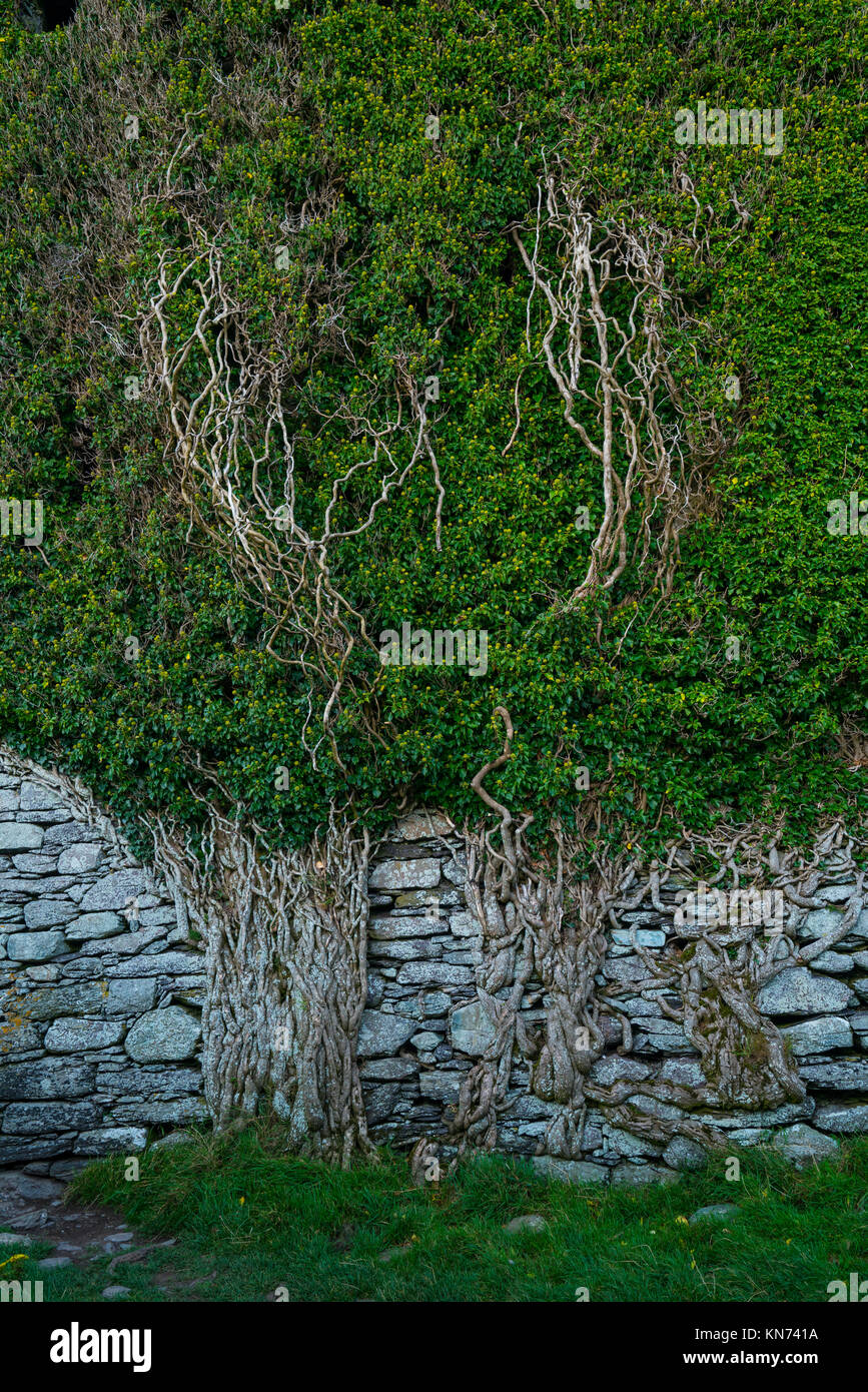 Ballycarbery Castle, Caherciveen, Ring of Kerry, County Kerry, Ireland ...