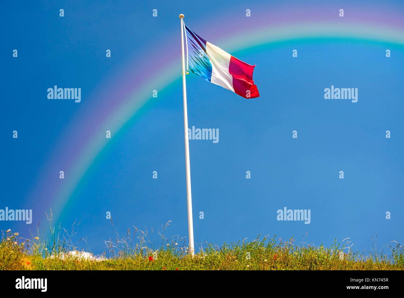 Flying the rainbow flag High Resolution Stock Photography and Images ...