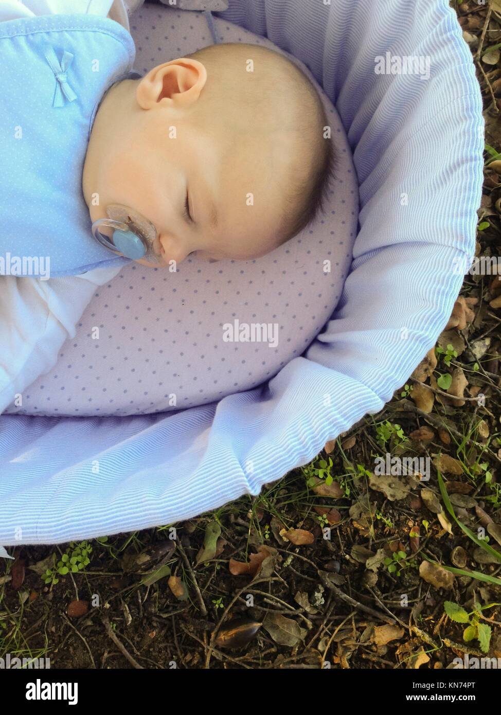 Child lying down in grass hi-res stock photography and images - Alamy