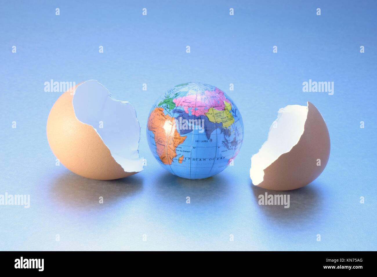 Weird shell hi-res stock photography and images - Alamy