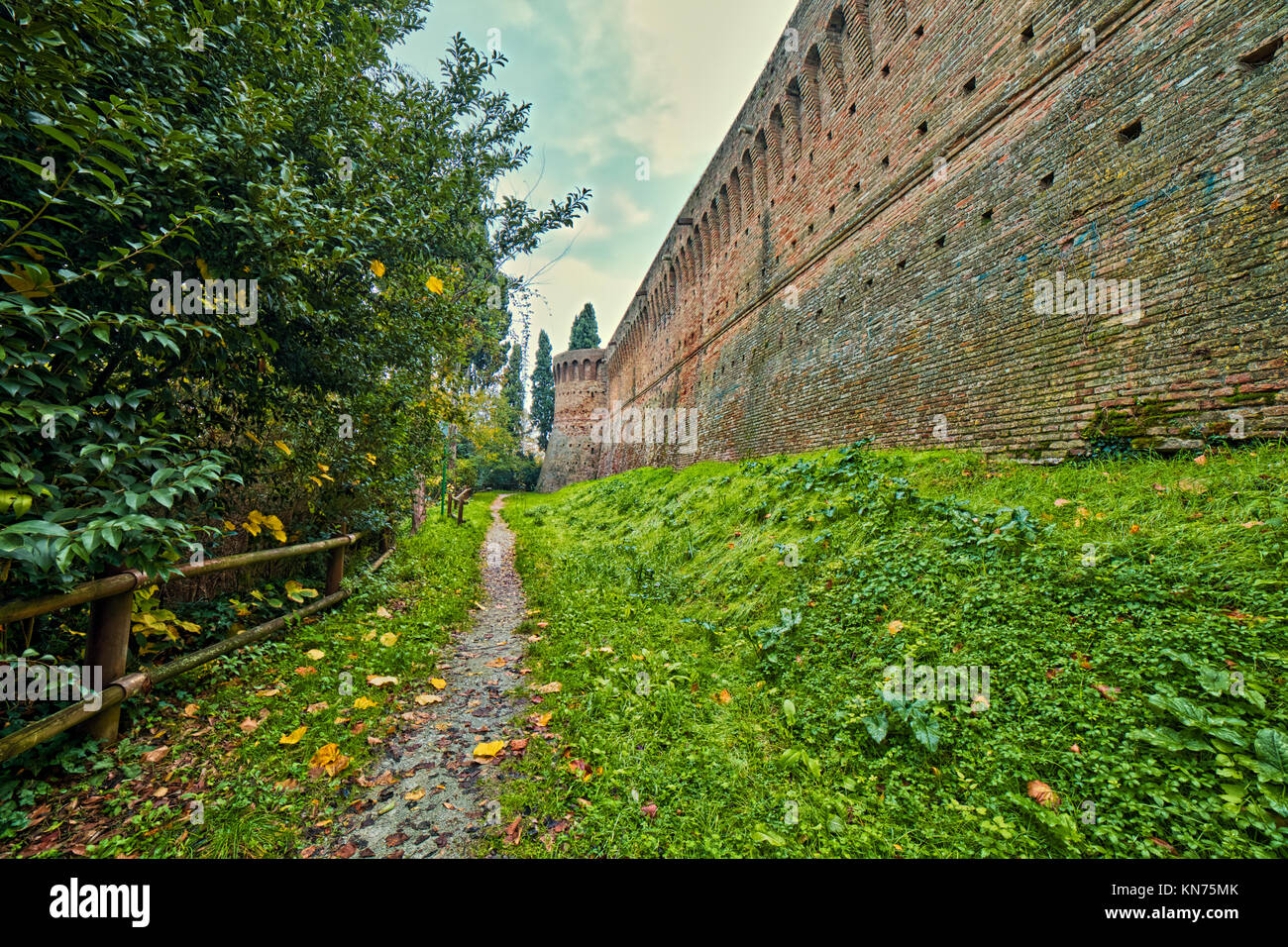 Pathway through trees tower hi-res stock photography and images - Alamy