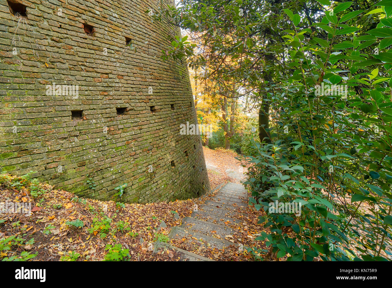 paved path near ancient walls of medieval castle in a green forest ...