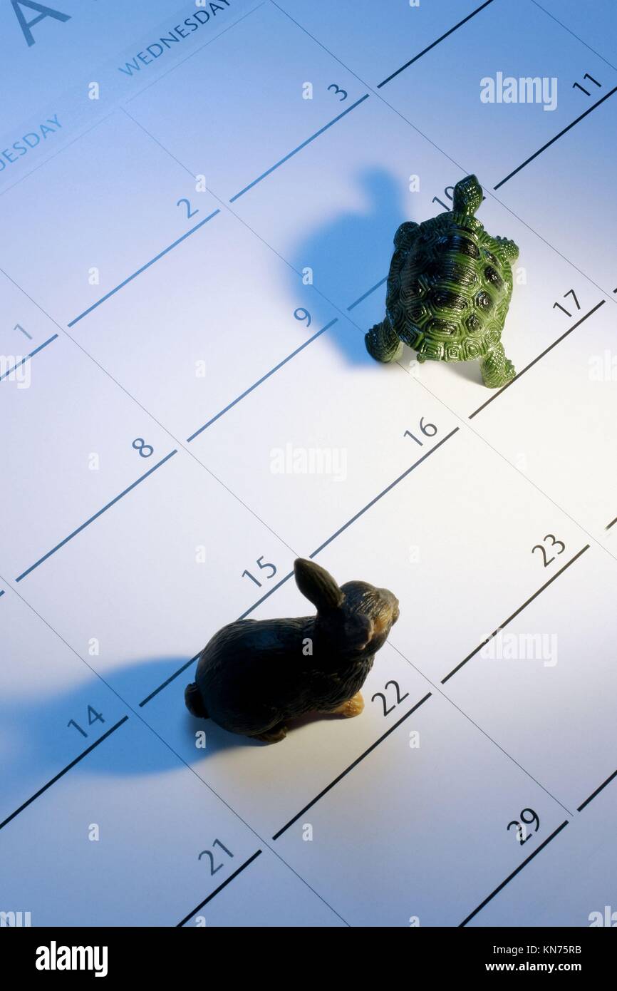 Hare and tortoise race hi-res stock photography and images - Alamy