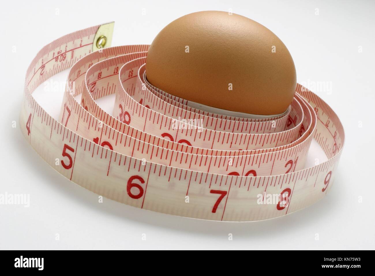 Close up people measuring length egg hi-res stock photography and ...