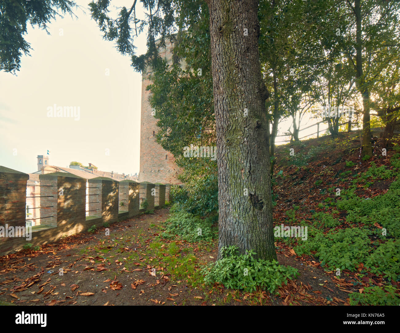 path in a green forest landscape setting near typical Italian village ...