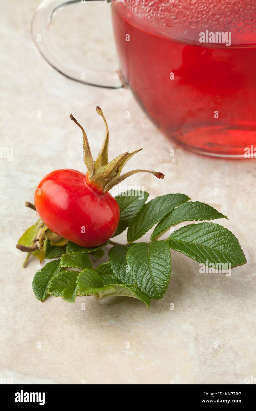 Glass of rose hip tea and a fresh rose hip Stock Photo - Alamy
