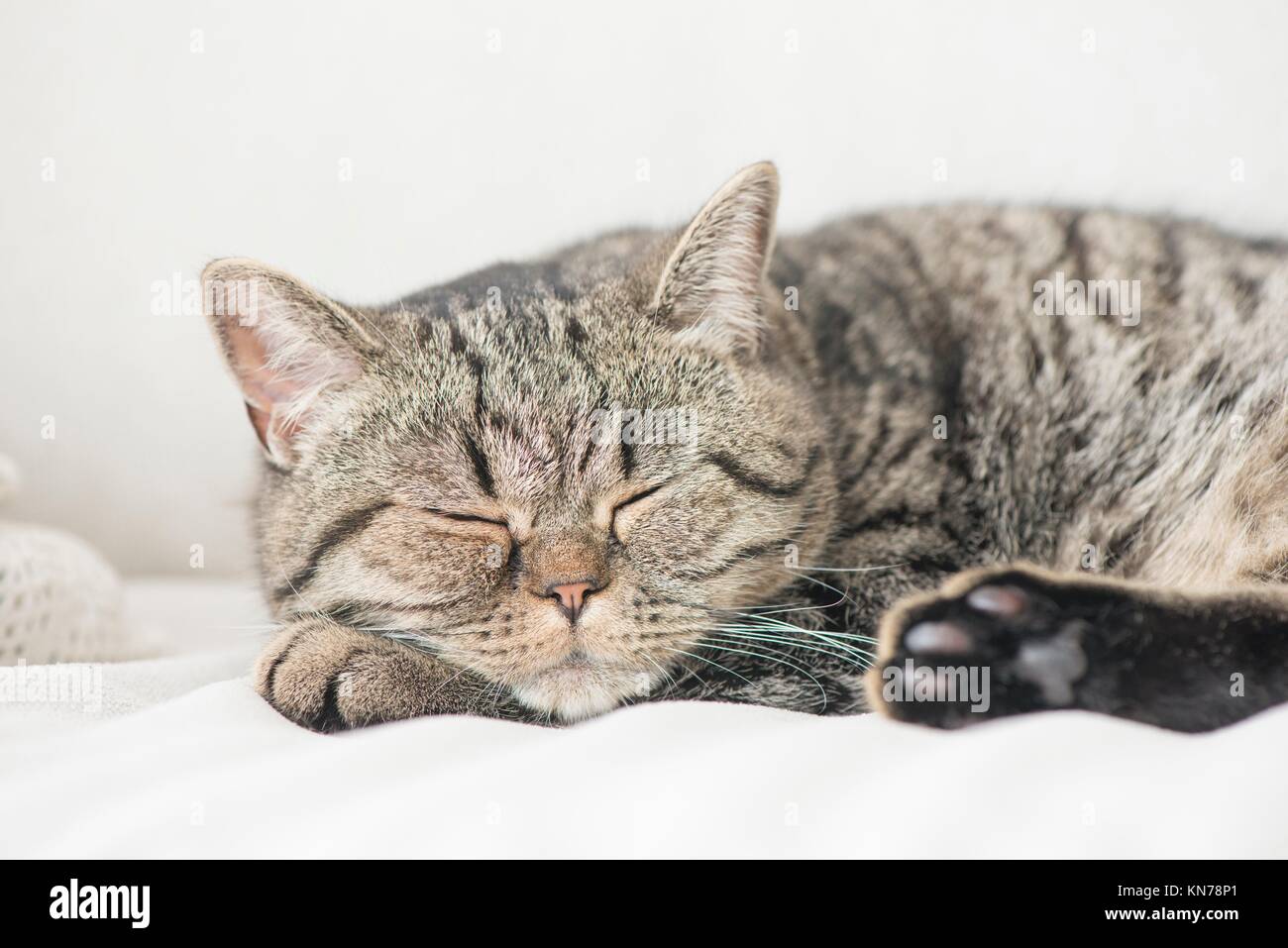 Baby lying down close up hi-res stock photography and images - Alamy