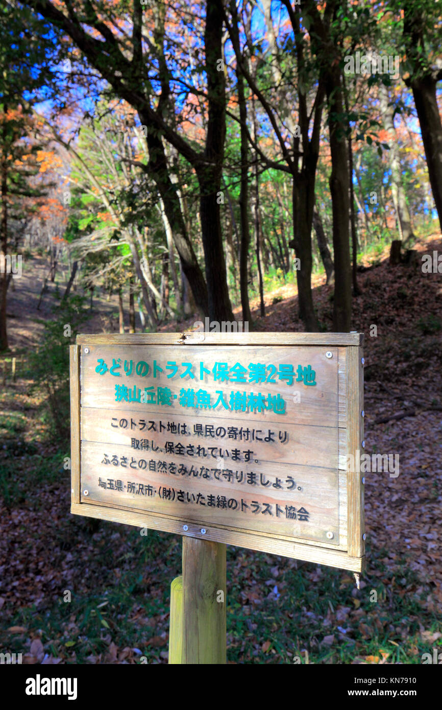 Forest Conservation Area in Sayama Hills in Tokorozawa city Saitama ...