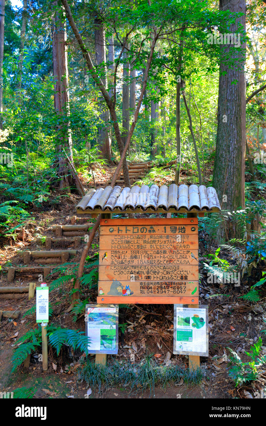 Totoro Forest No.1 in Sayama Hills in Tokorozawa city Saitama Japan ...