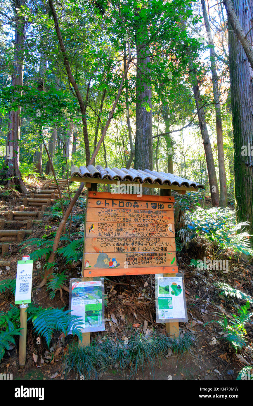Totoro Forest No.1 in Sayama Hills in Tokorozawa city Saitama Japan ...