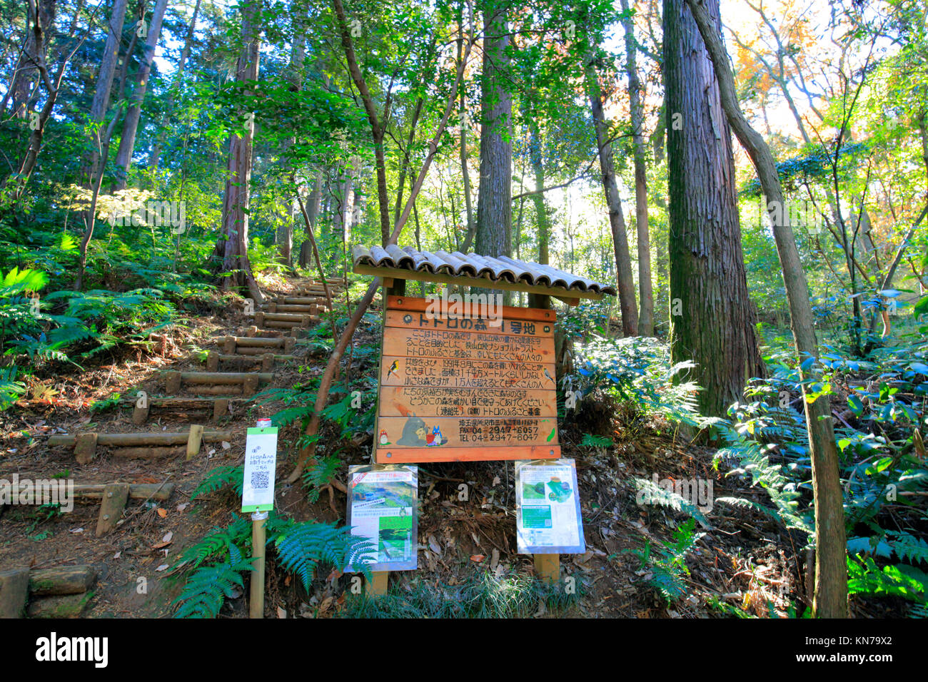 Totoro Forest No.1 in Sayama Hills in Tokorozawa city Saitama Japan ...
