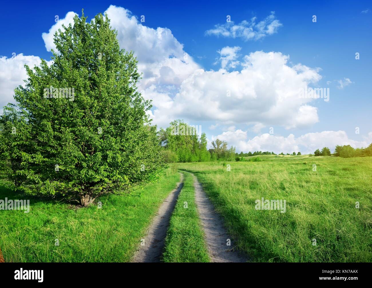 Field road in spring hi-res stock photography and images - Alamy