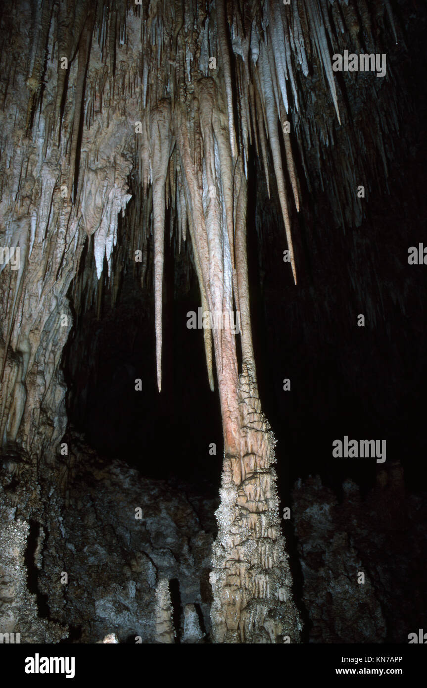 Carlsbad Caverns National Park, New Mexico Stock Photo - Alamy