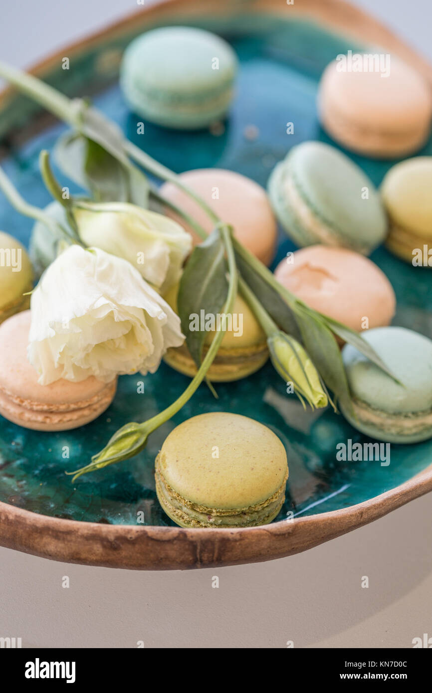 Pink and green macaroons and white lisianthus in a ceramic plate Stock ...