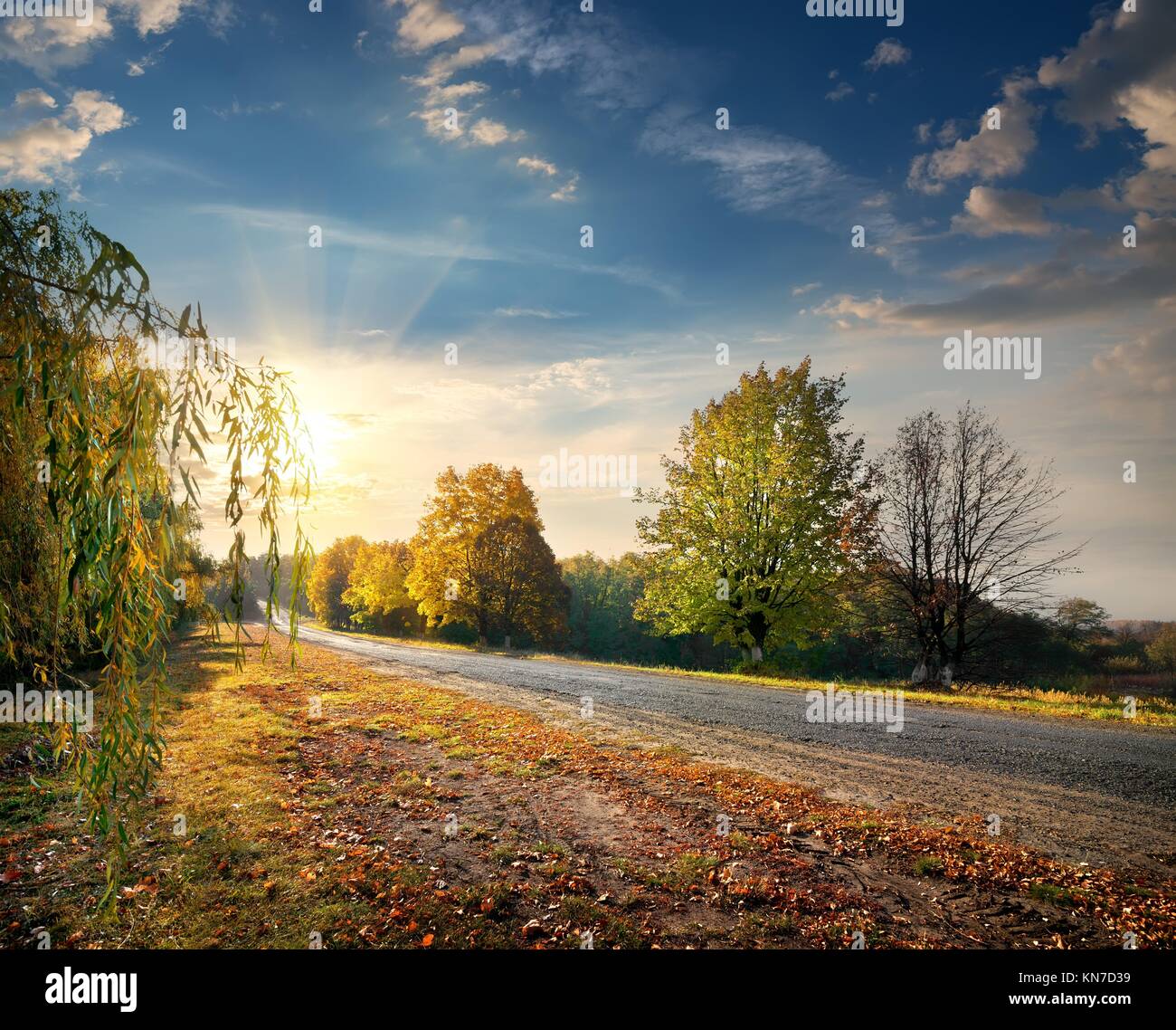 Highway through autumn forest hi-res stock photography and images - Alamy