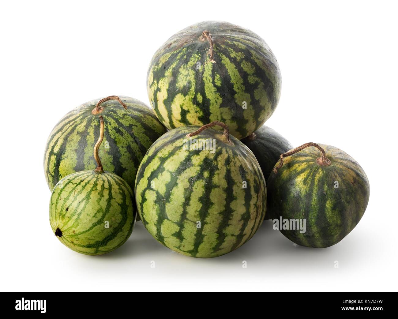 Watermelons white background hi-res stock photography and images - Alamy