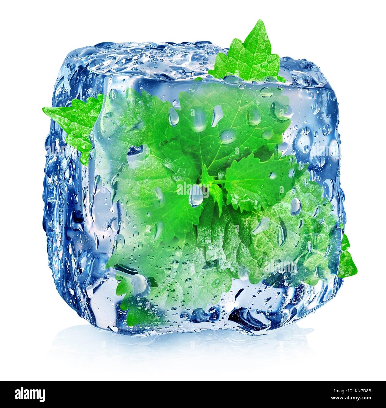 Ice frozen mint hi-res stock photography and images - Alamy
