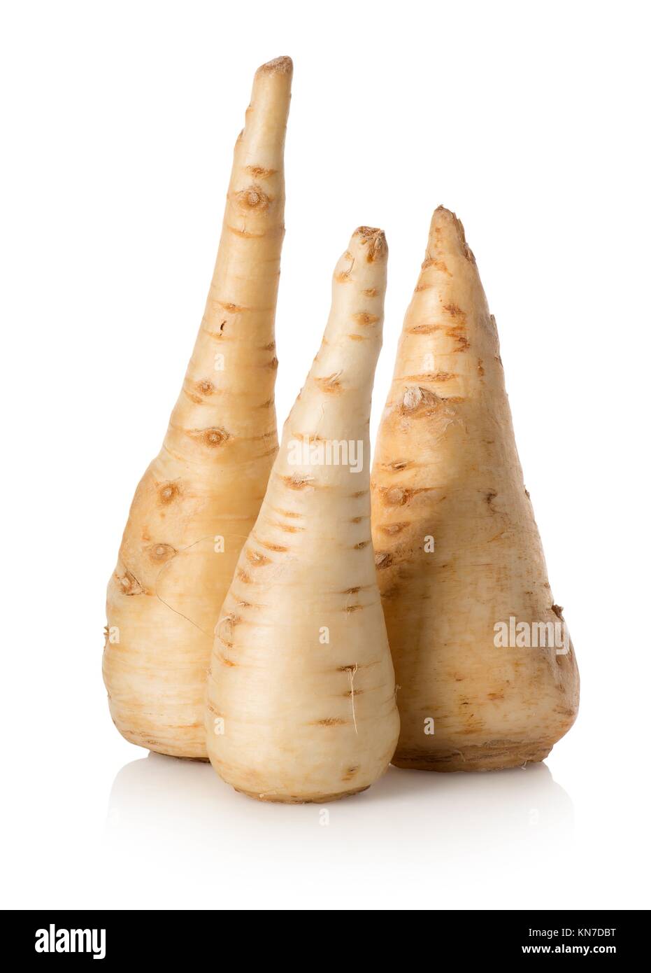 Root parsley roots Cut Out Stock Images & Pictures - Alamy