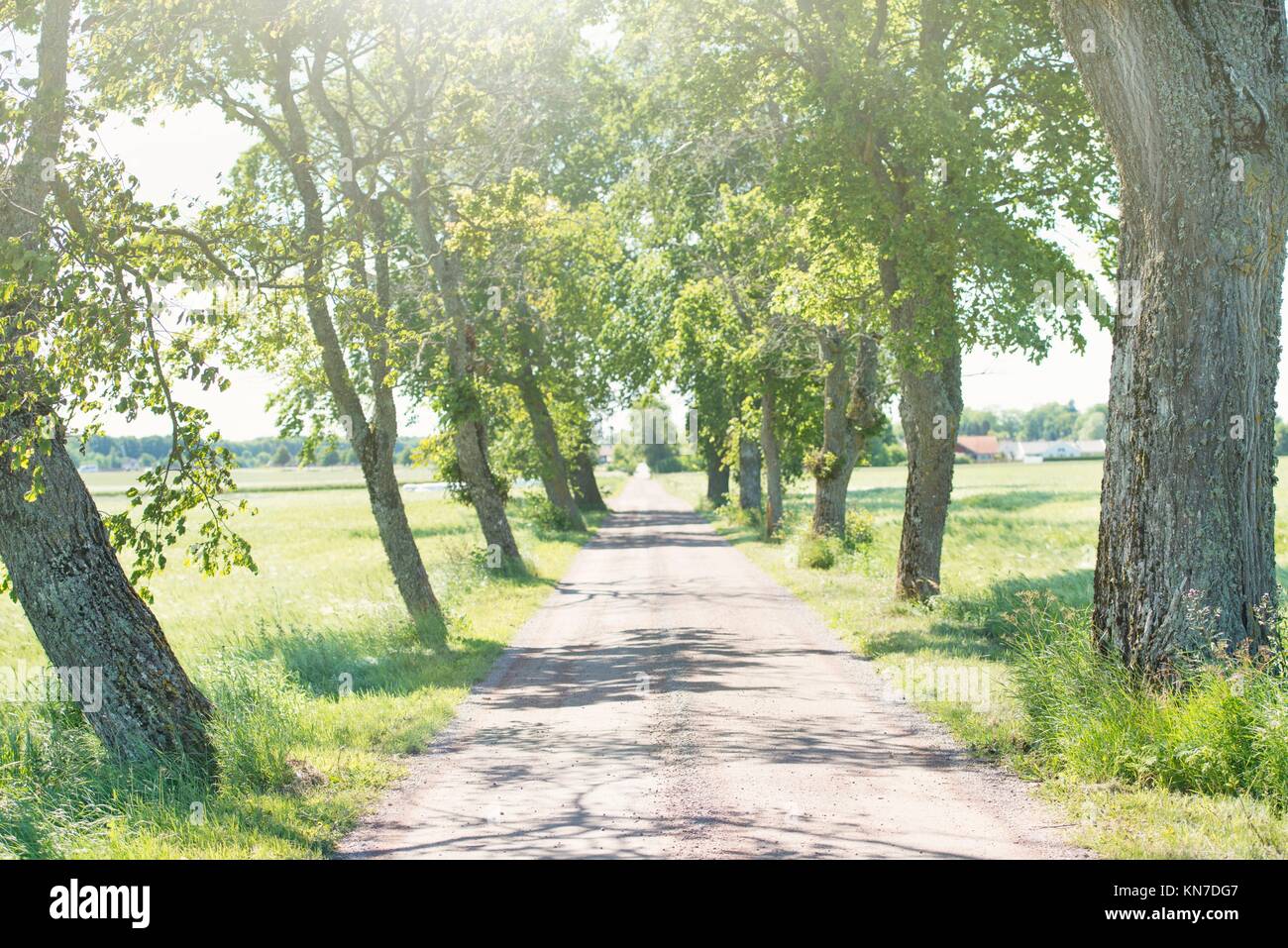 Beautiful summer landscape with road running through the countryside ...