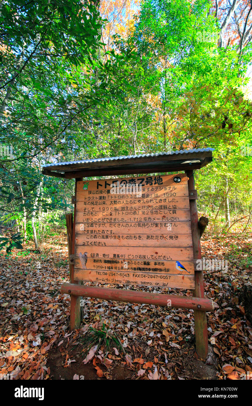 Totoro Forest No.2 in Sayama Hills in Tokorozawa city Saitama Japan ...
