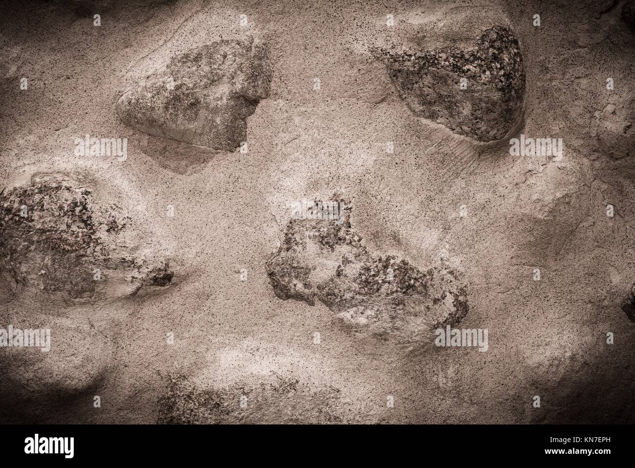 Rough surface structure hi-res stock photography and images - Alamy