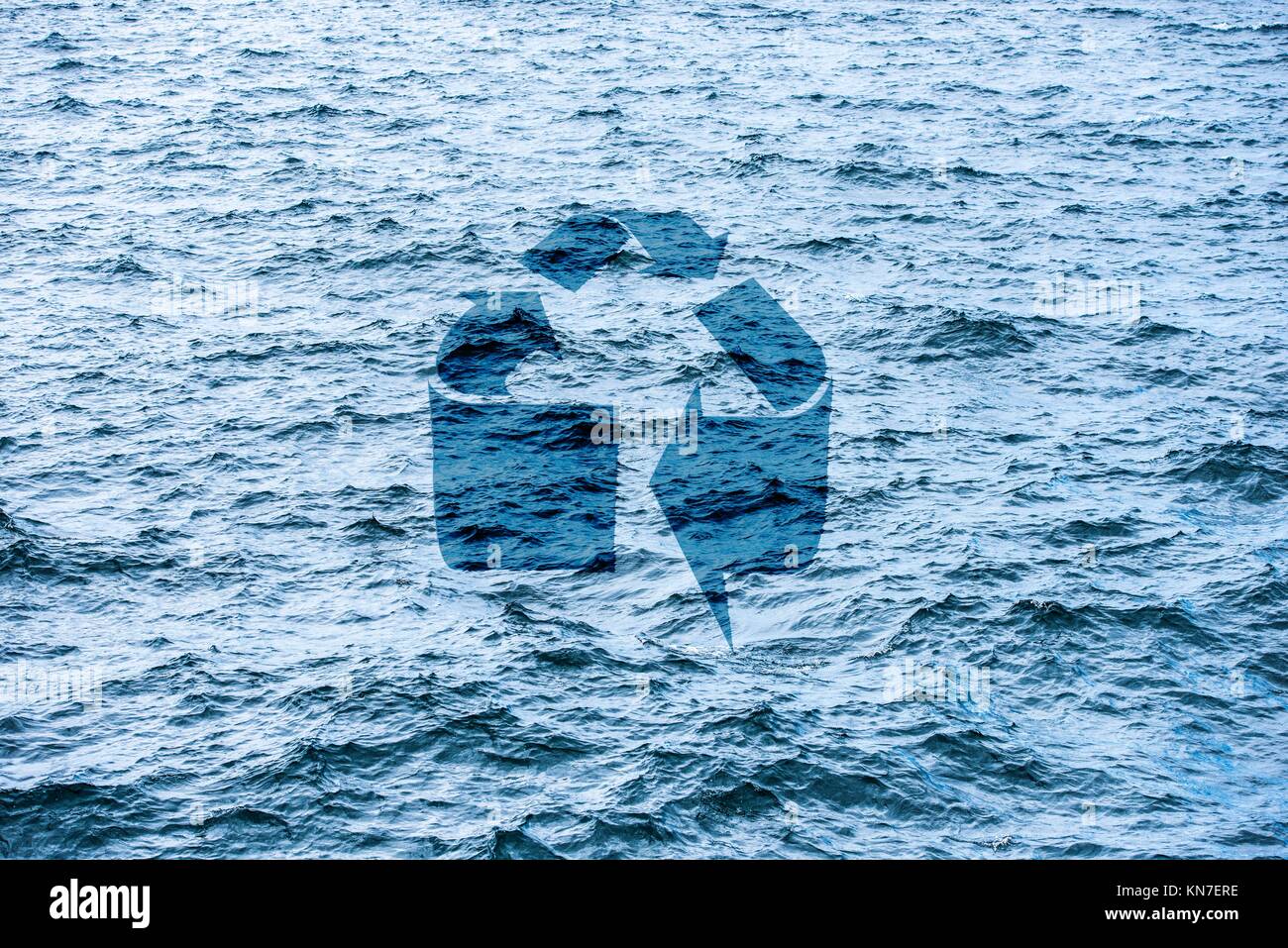 Sea environment hi-res stock photography and images - Alamy