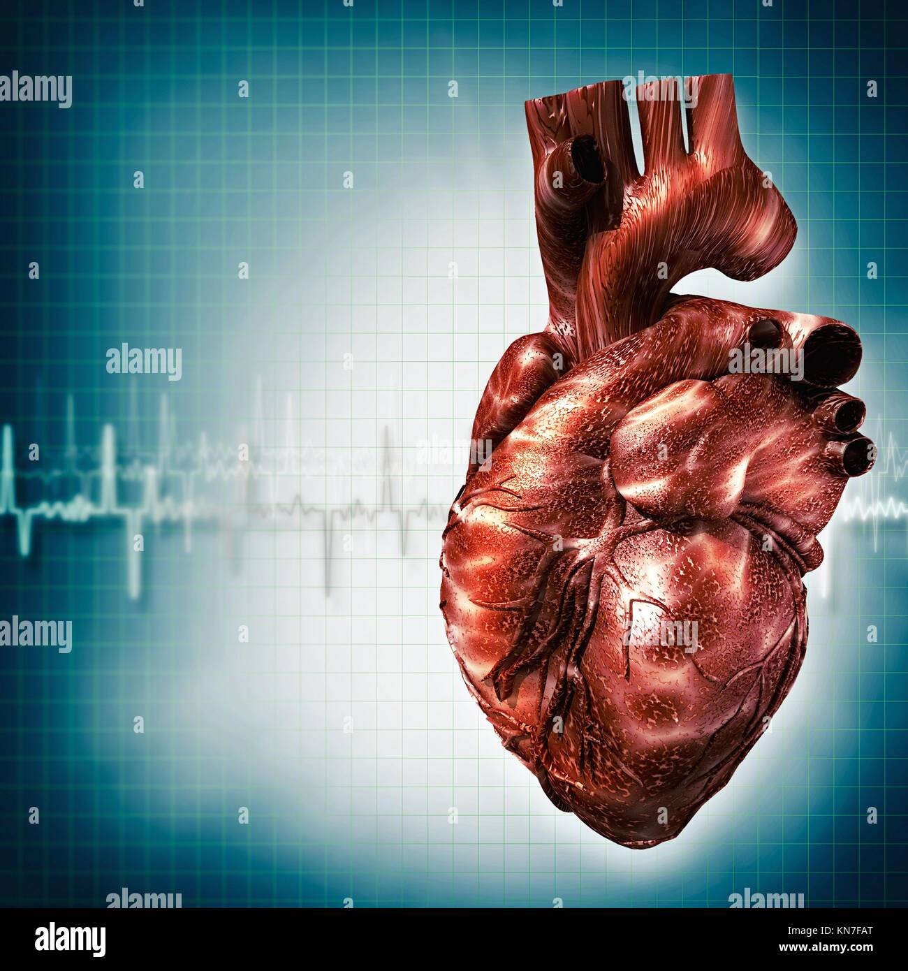 Medical Heart Background