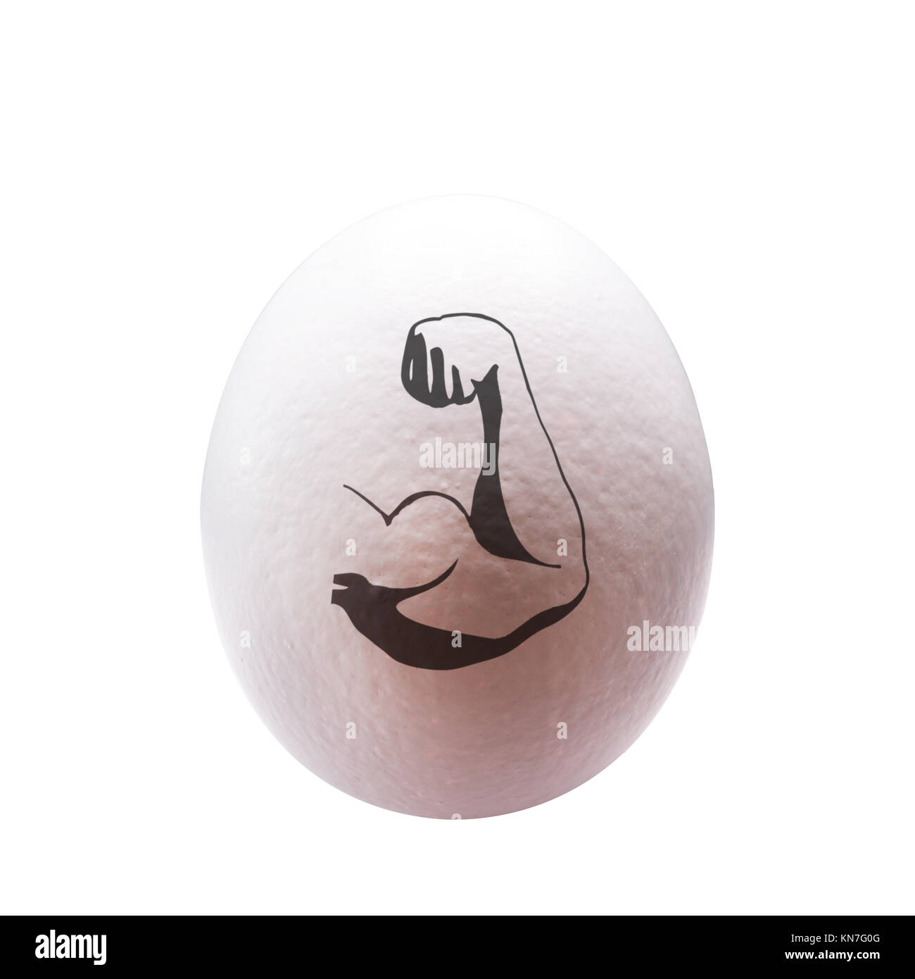 arm muscles on egg Stock Photo - Alamy