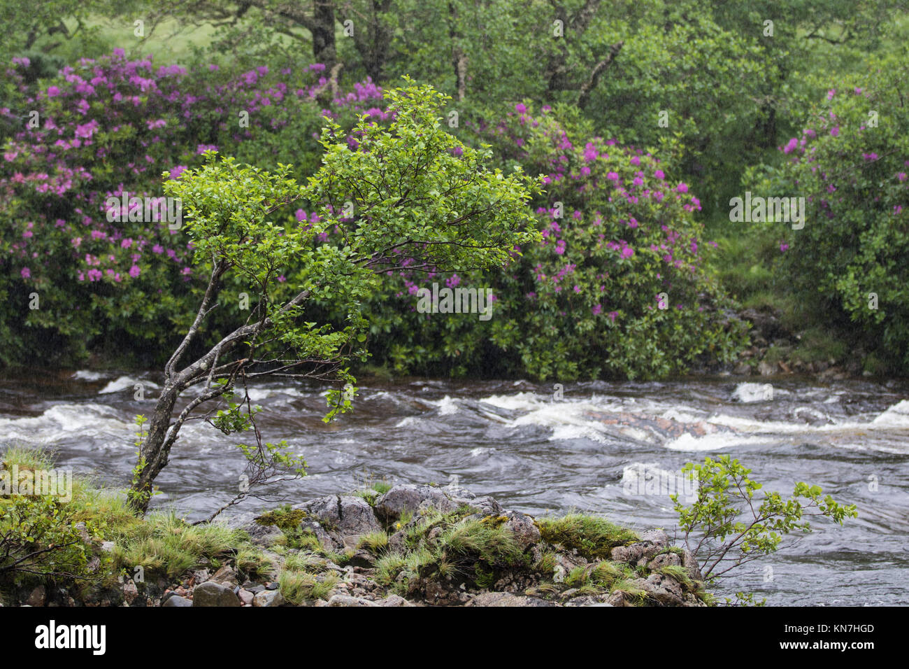 Rain river hi-res stock photography and images - Alamy