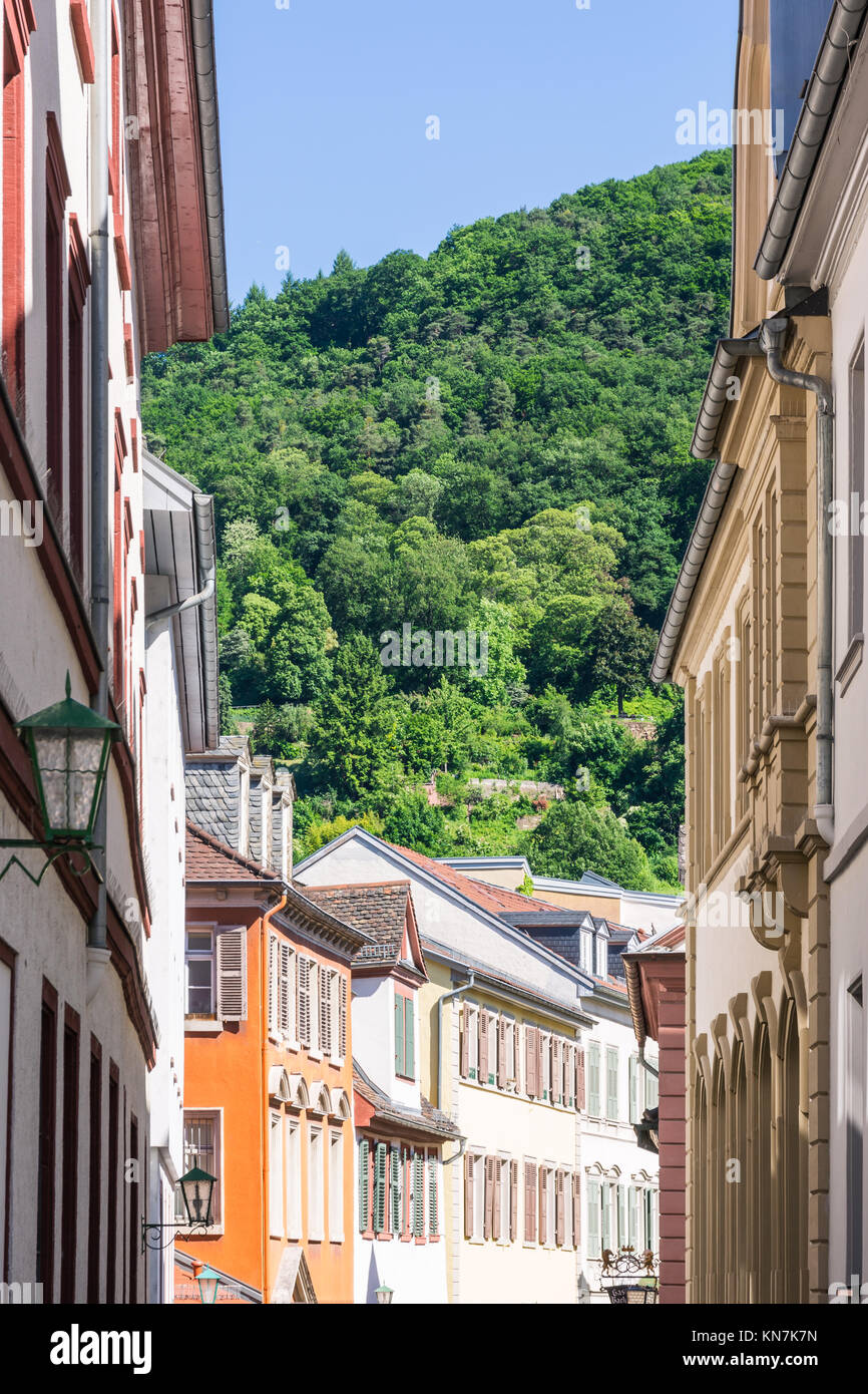 European Alley Green Trees Hill Forest Village Cozy Beautiful Stock ...