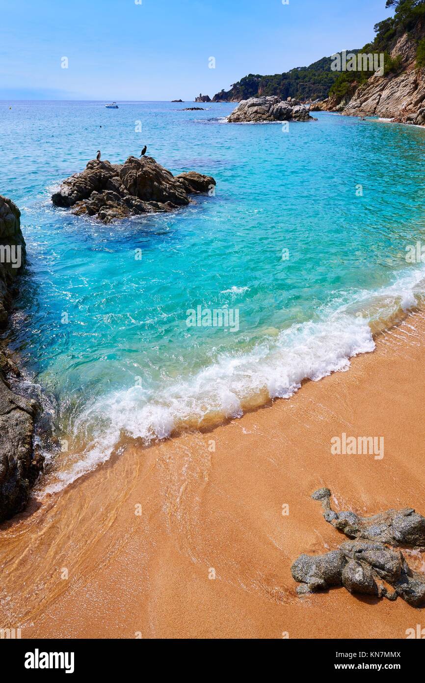 Cala Sa Boadella platja beach in Lloret de Mar of Costa Brava at ...