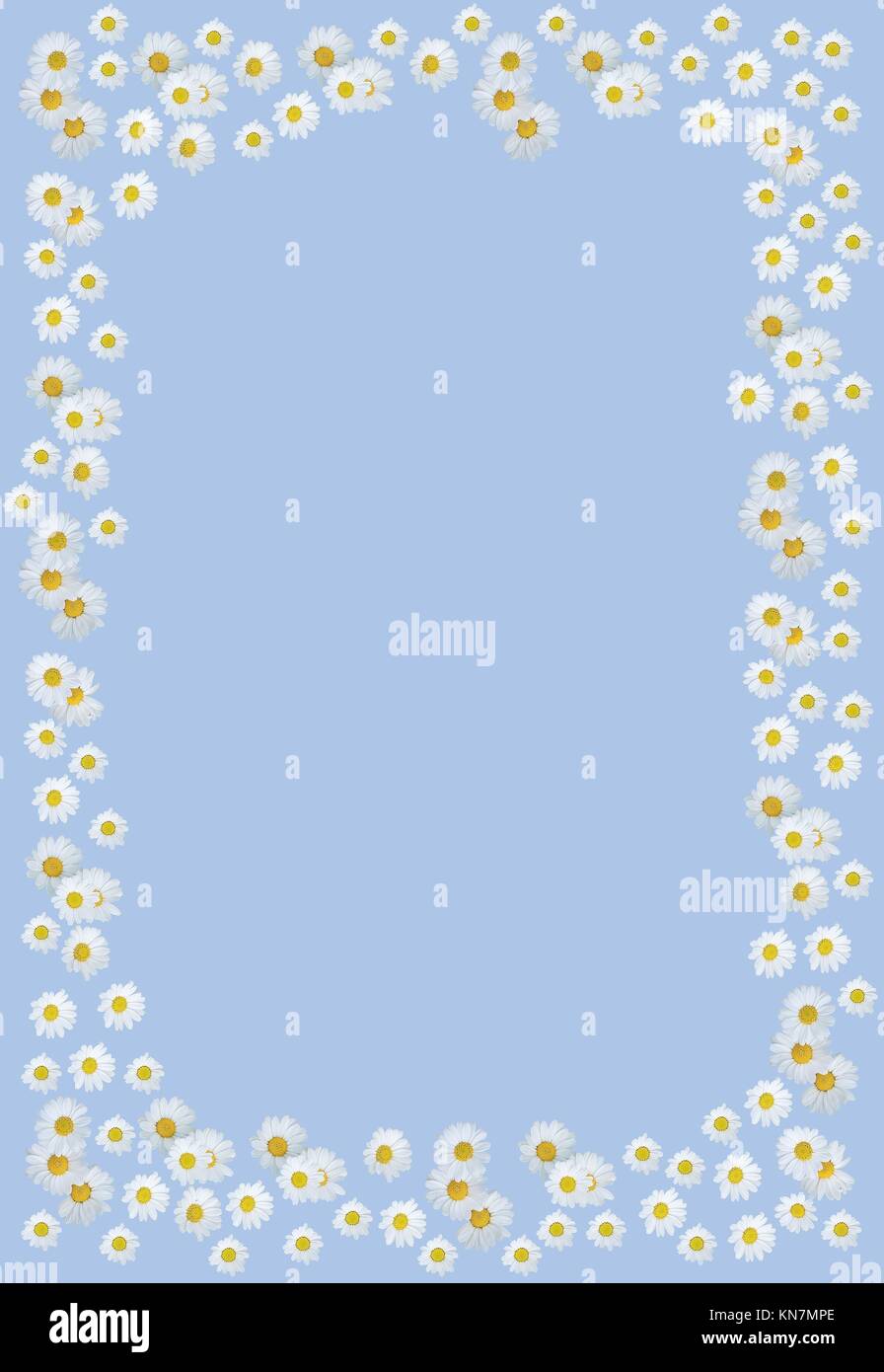 White Daisy Border High Resolution Stock Photography and Images - Alamy