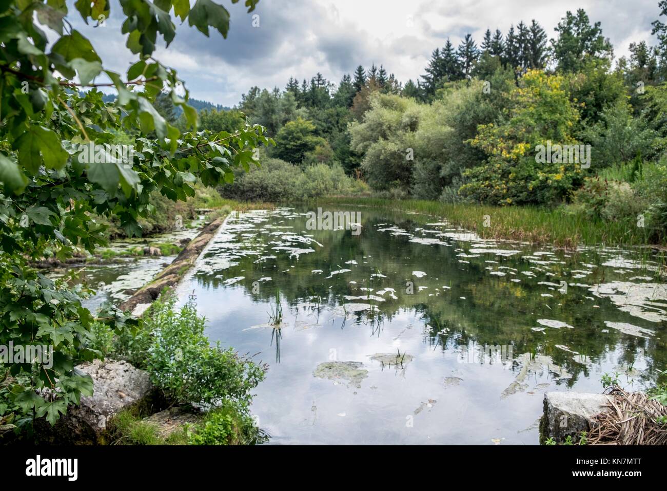 Markovec riverside, Slovenia Stock Photo - Alamy