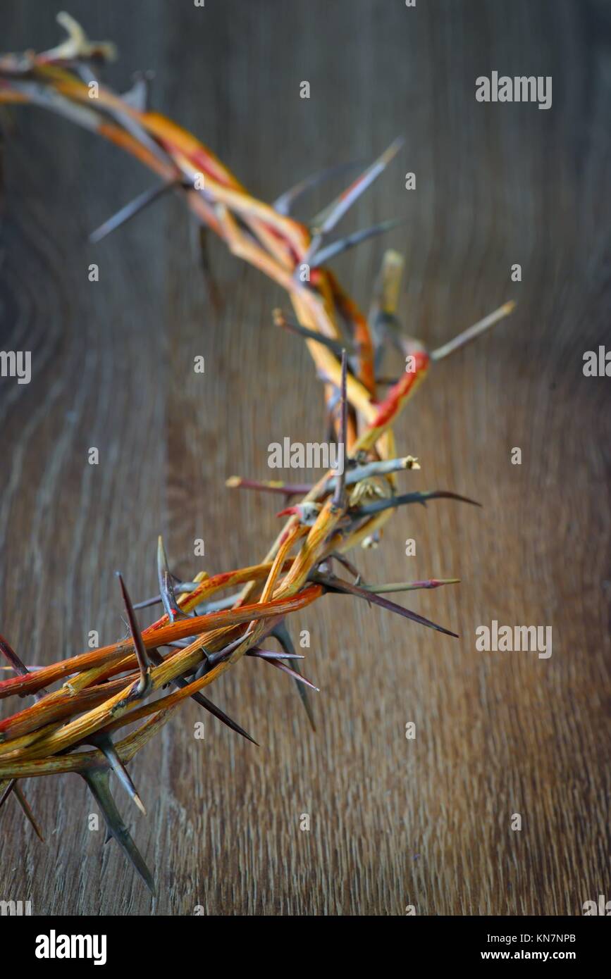 crown made of thorns isolated on wooden background Stock Photo - Alamy