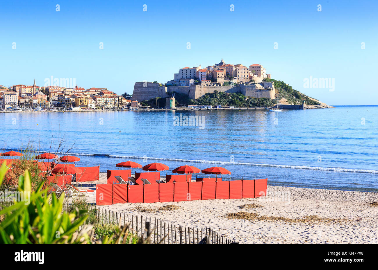 Calvi Beach and Citadel of Calvi, Corsica Stock Photo - Alamy