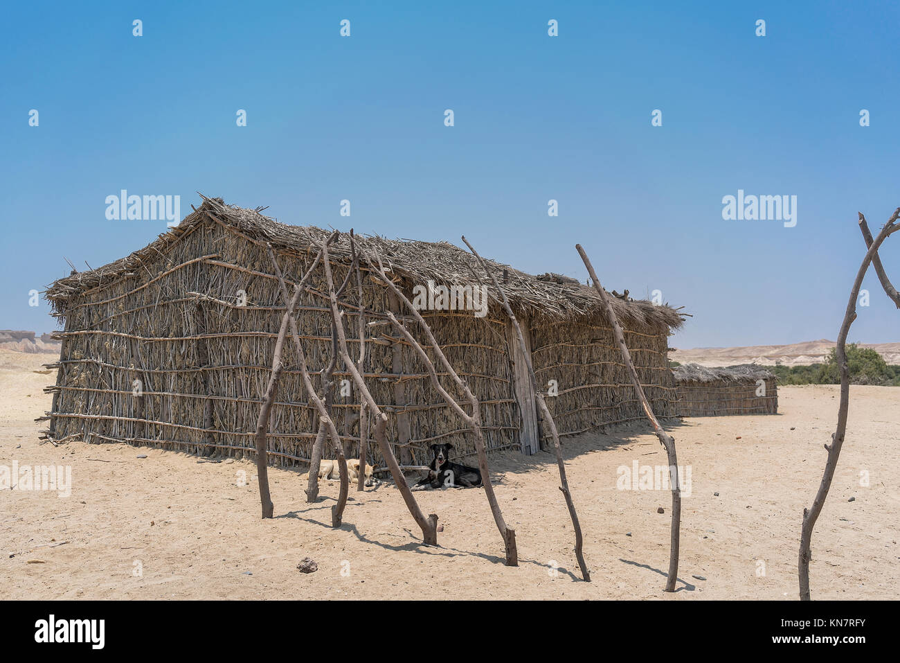 African country house made of sticks in the Namibe Desert. Angola ...