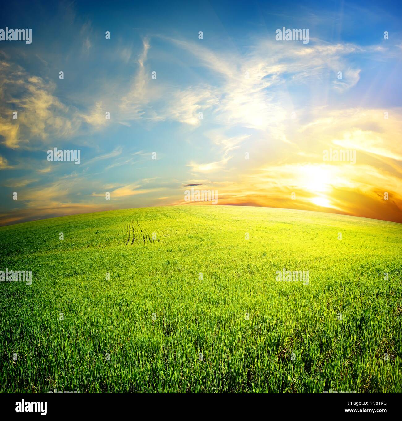 Green Pasture Sunrise High Resolution Stock Photography and Images - Alamy