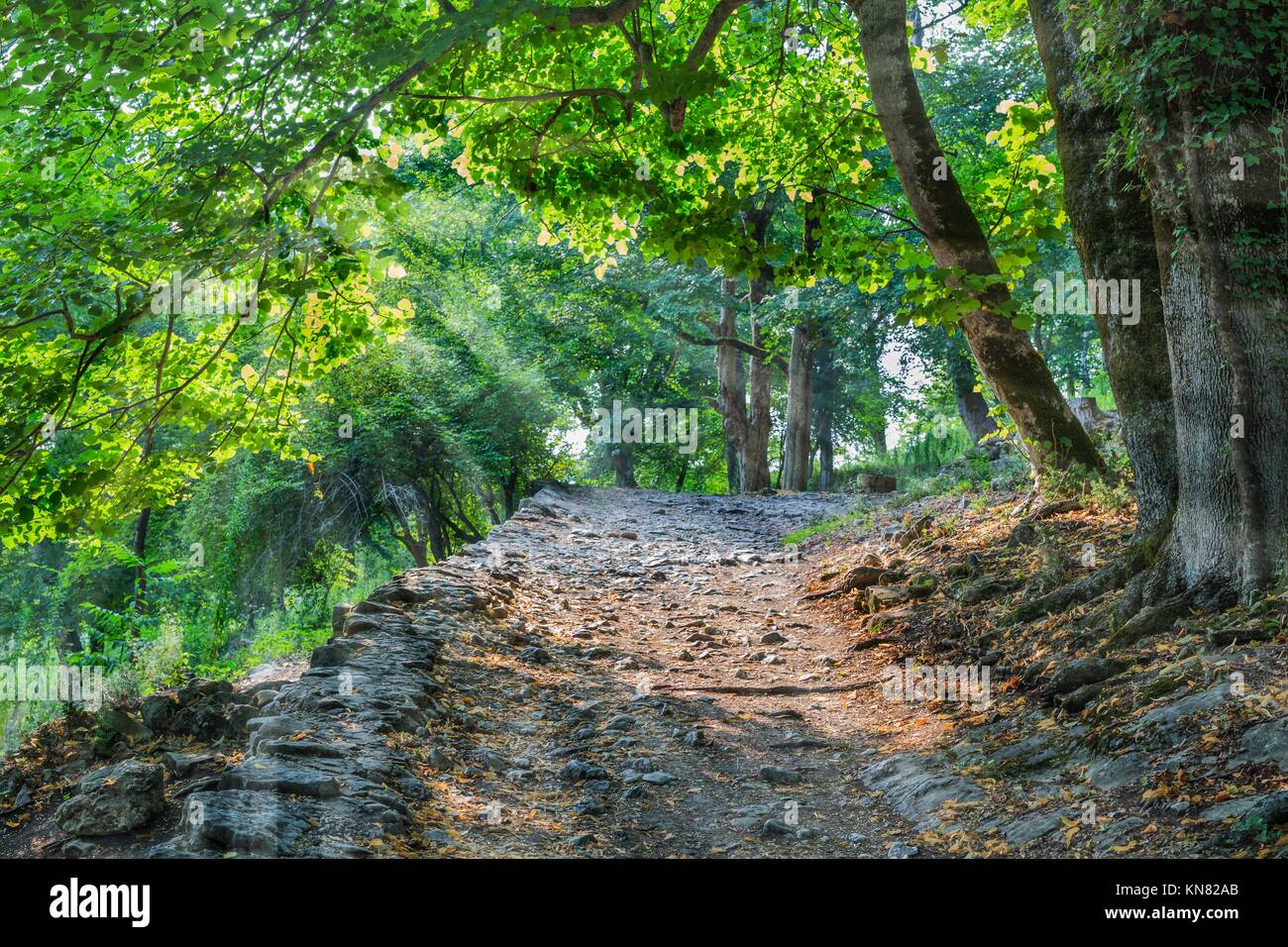 Old pathway hi-res stock photography and images - Alamy