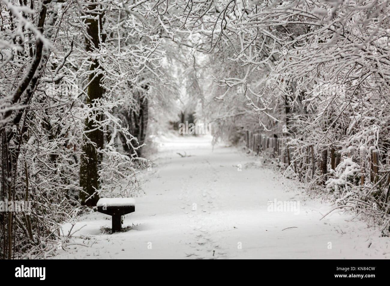 Ystwyth trail hi-res stock photography and images - Alamy