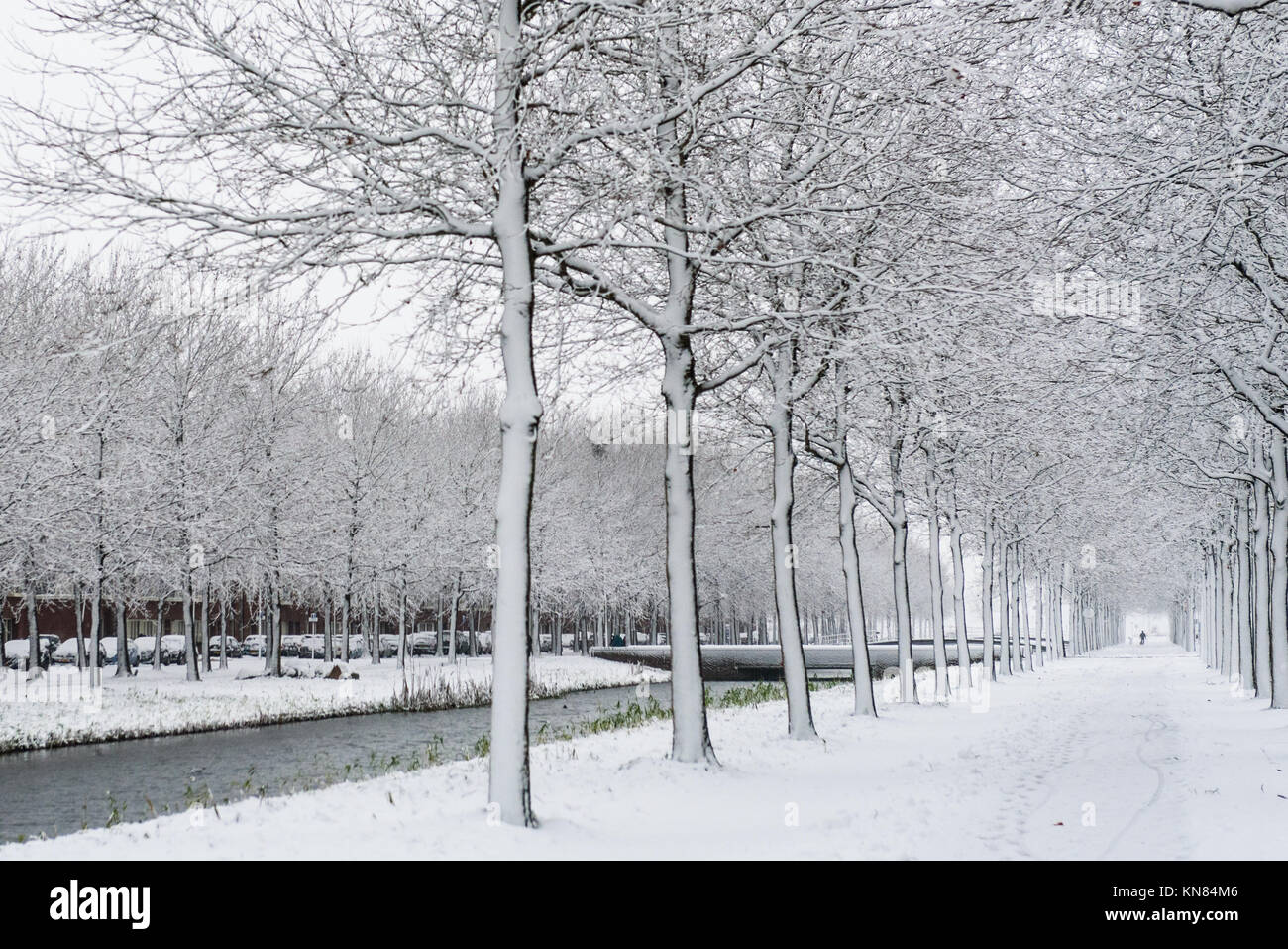 Utrecht, The Netherlands. 10th December, 2017. Unusual snowfall ...