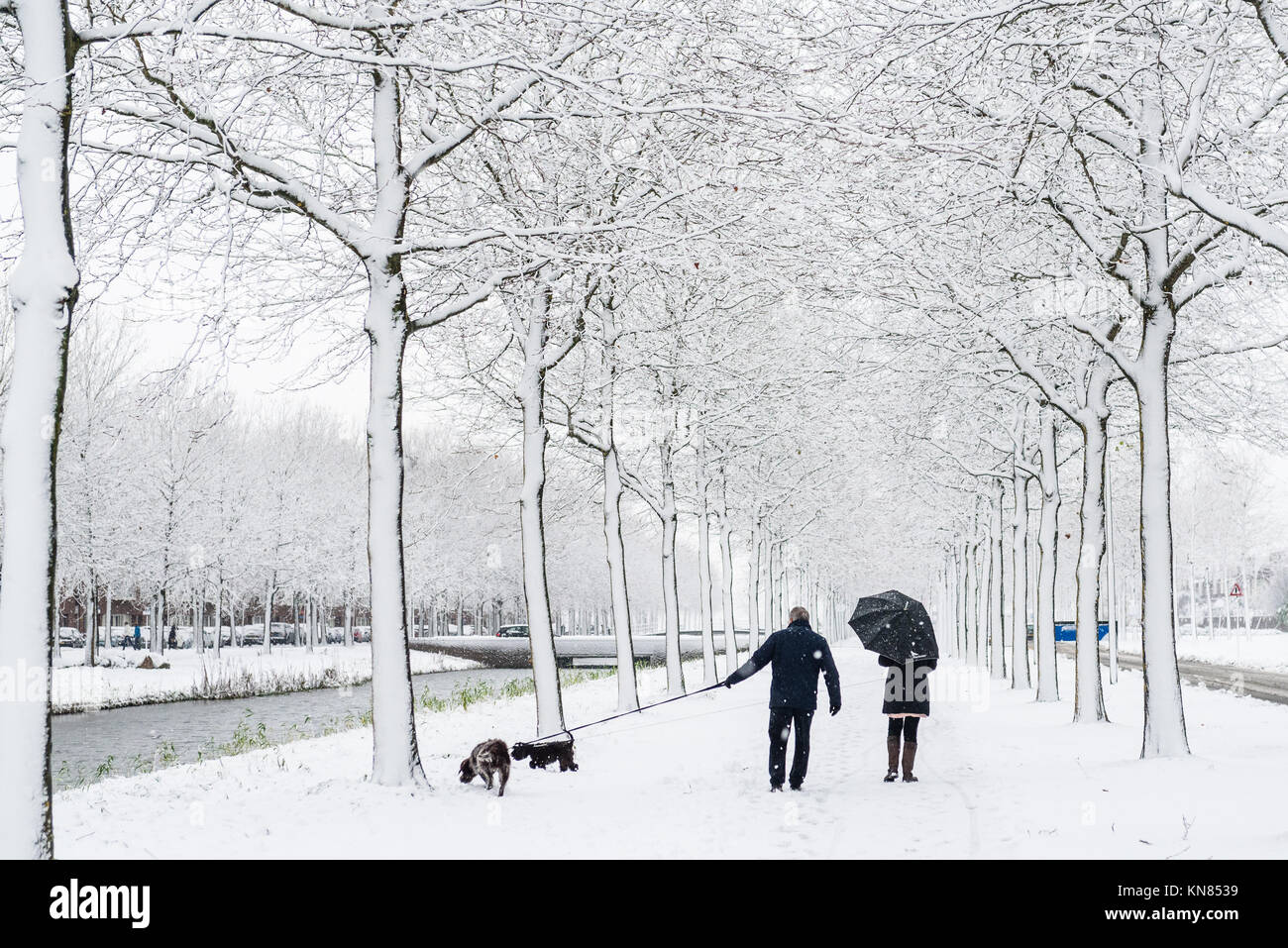 Utrecht, The Netherlands. 10th December, 2017. Unusual snowfall ...