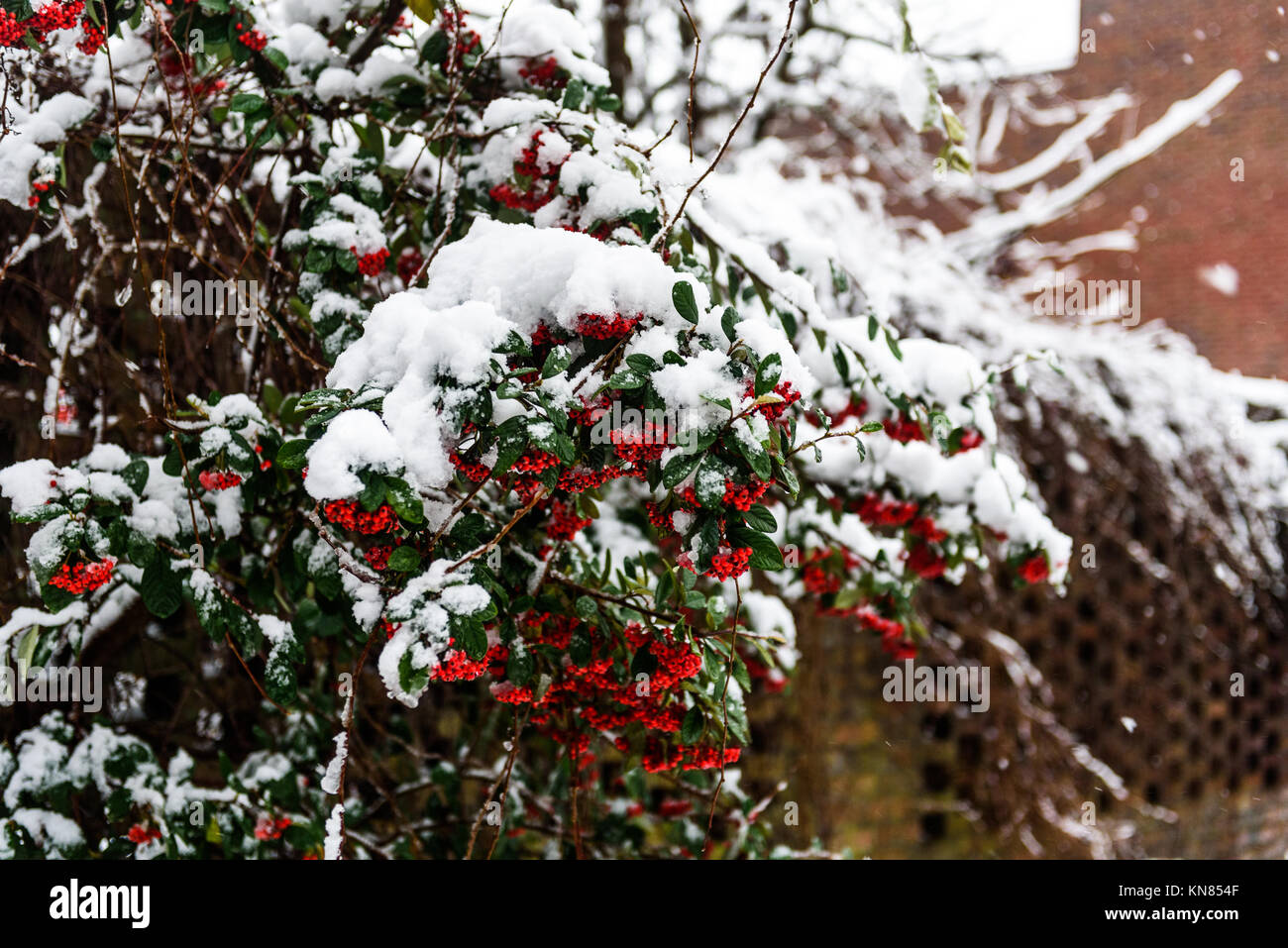Utrecht, The Netherlands. 10th December, 2017. Unusual snowfall ...