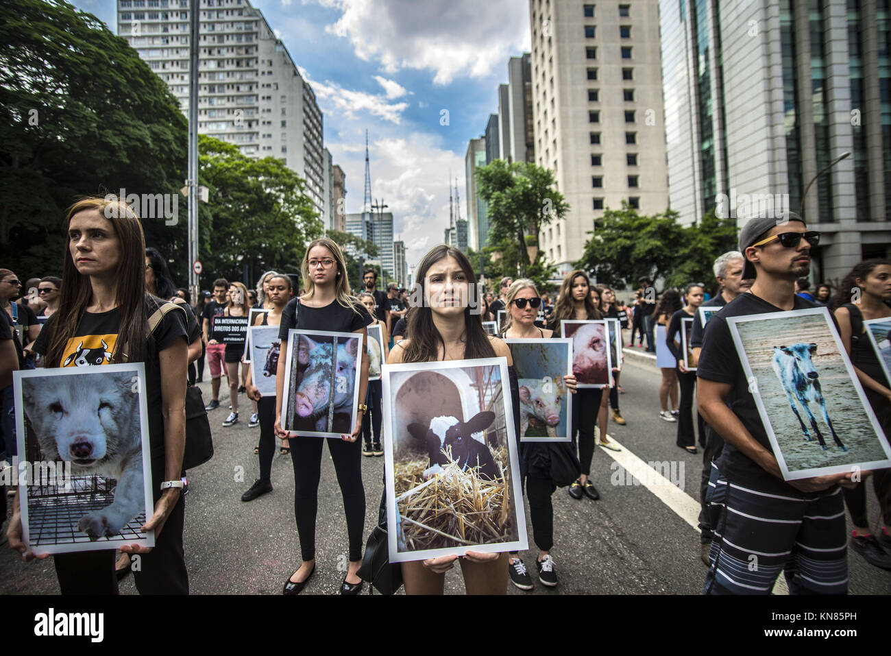 Igualdad animal brasil hi-res stock photography and images - Alamy