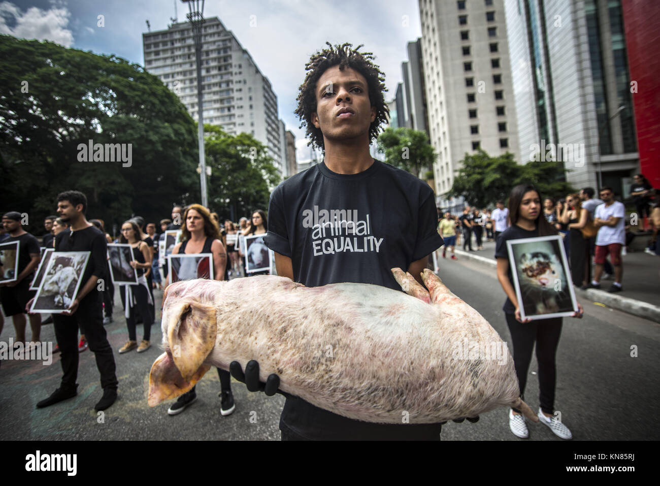 Animal equality brasil hi-res stock photography and images - Alamy